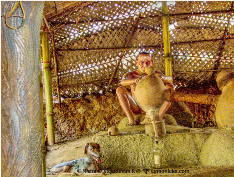 Cashew Feni, the Most Popular 100 % Goan Spirit