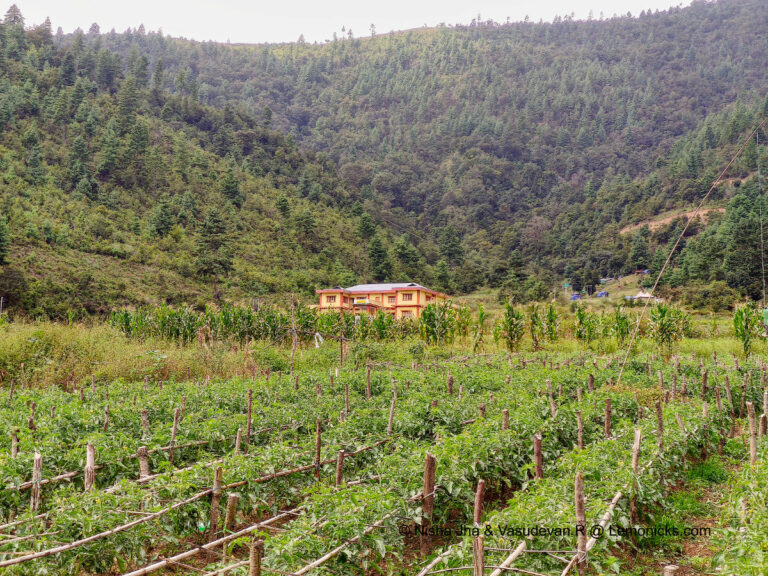 The Magic of Sangti Valley, Dirang, Arunachal Pradesh