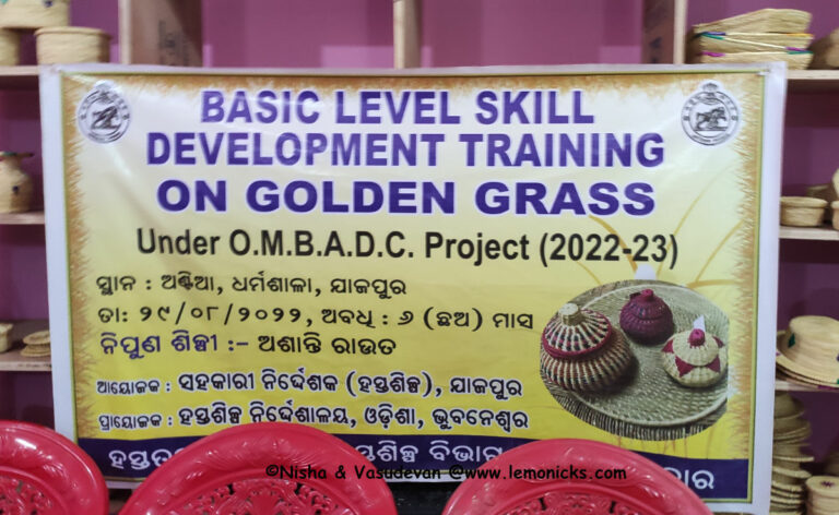Exquisite Golden Grass Handicrafts in Jajpur